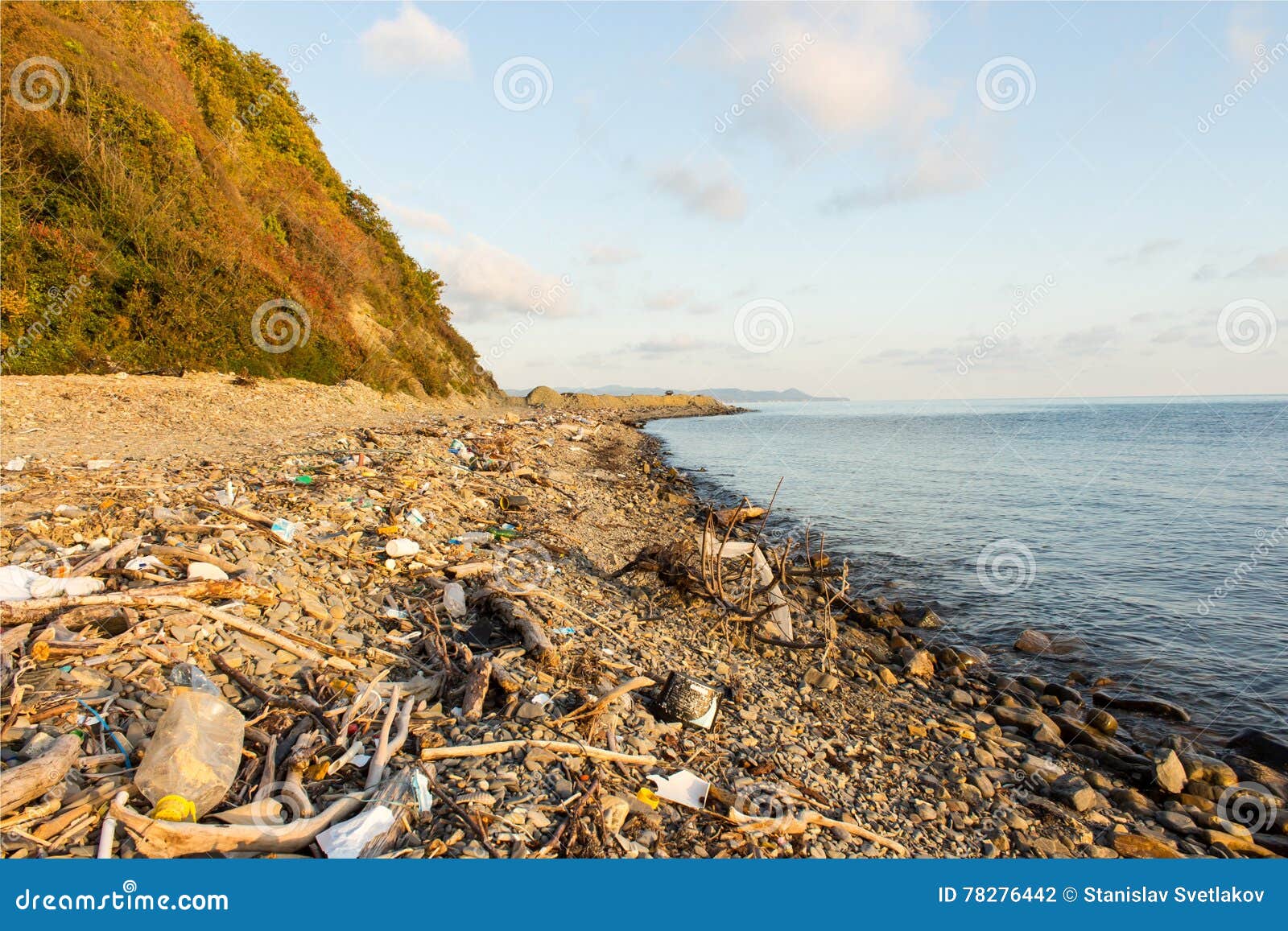 Garbage and Wastes on Beach Stock Photo - Image of dead, outdoors: 78276442