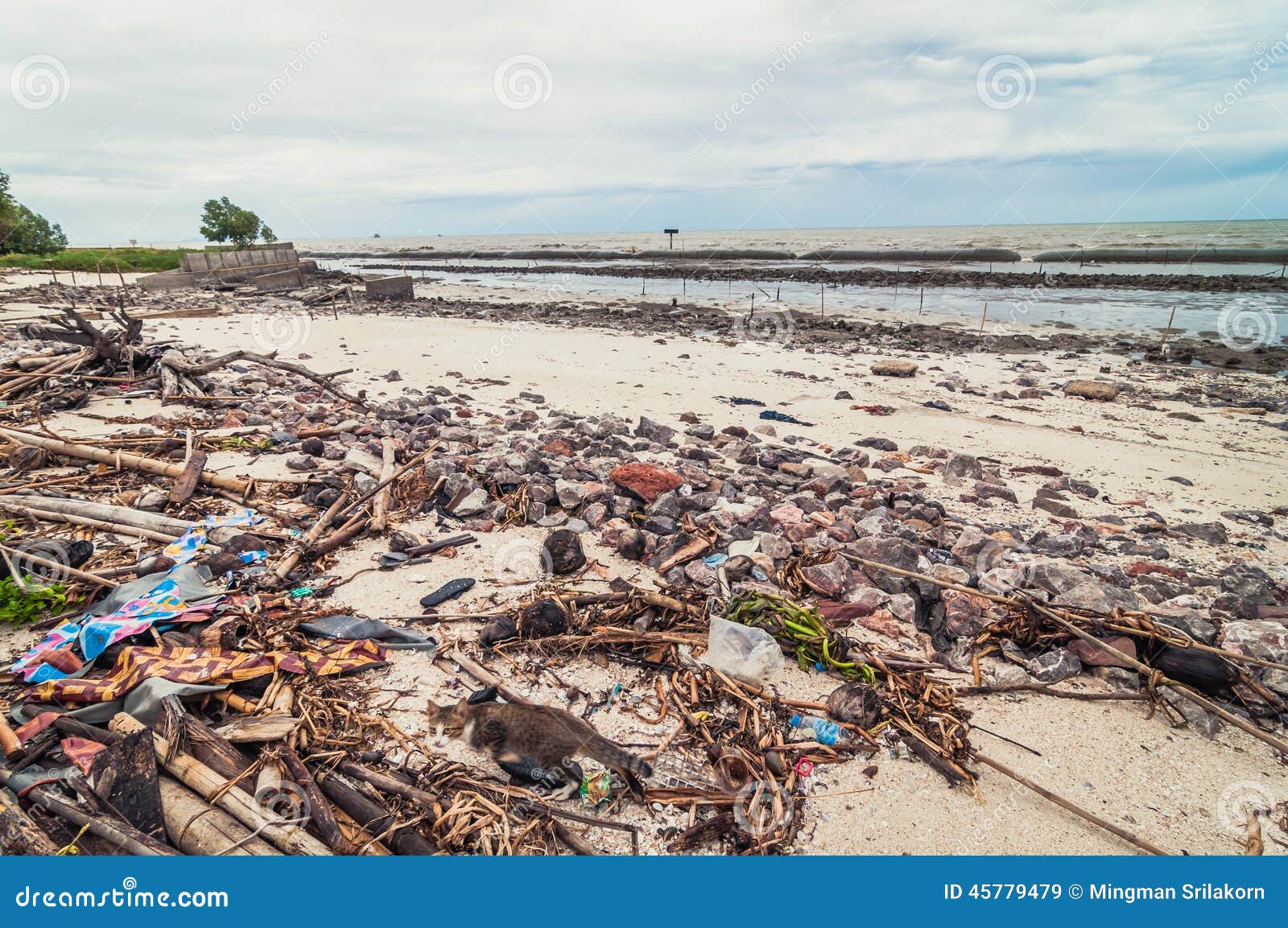 Garbage And Wastes On The Beach Royalty-Free Stock Photography ...