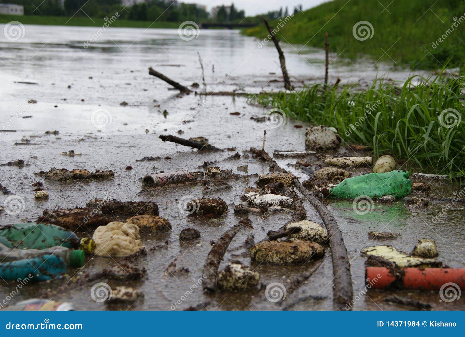 Garbage in water stock photo. Image of trash, garbage - 14371984
