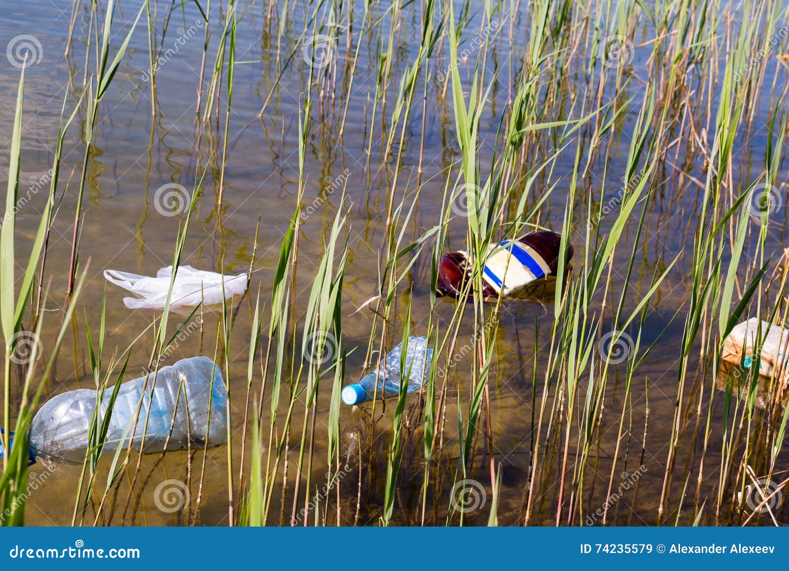 Garbage in the water stock image. Image of plastic, earth - 74235579
