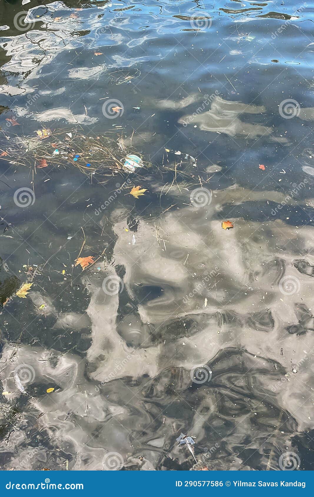 Garbage on the Water Surface Stock Photo - Image of nature ...