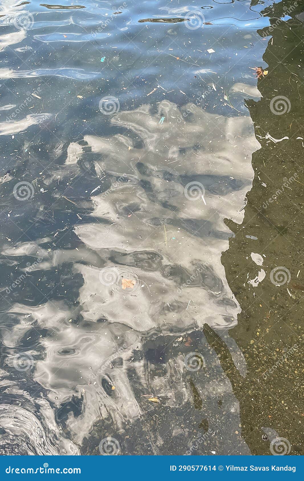 Garbage on the Water Surface Stock Photo - Image of liquid, industry ...