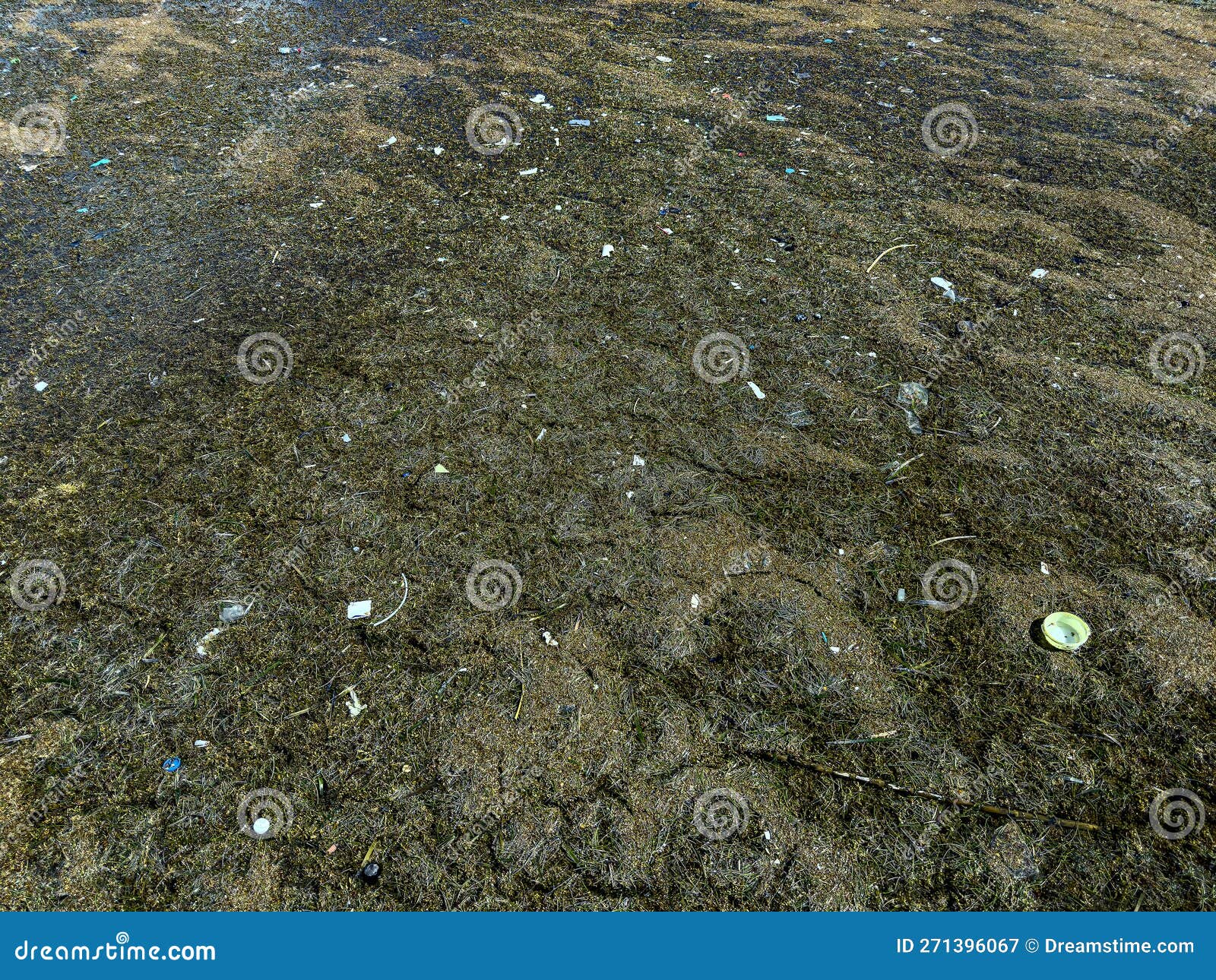 Garbage in the Waters, Pollution, and Environment Concept. Stock Image ...