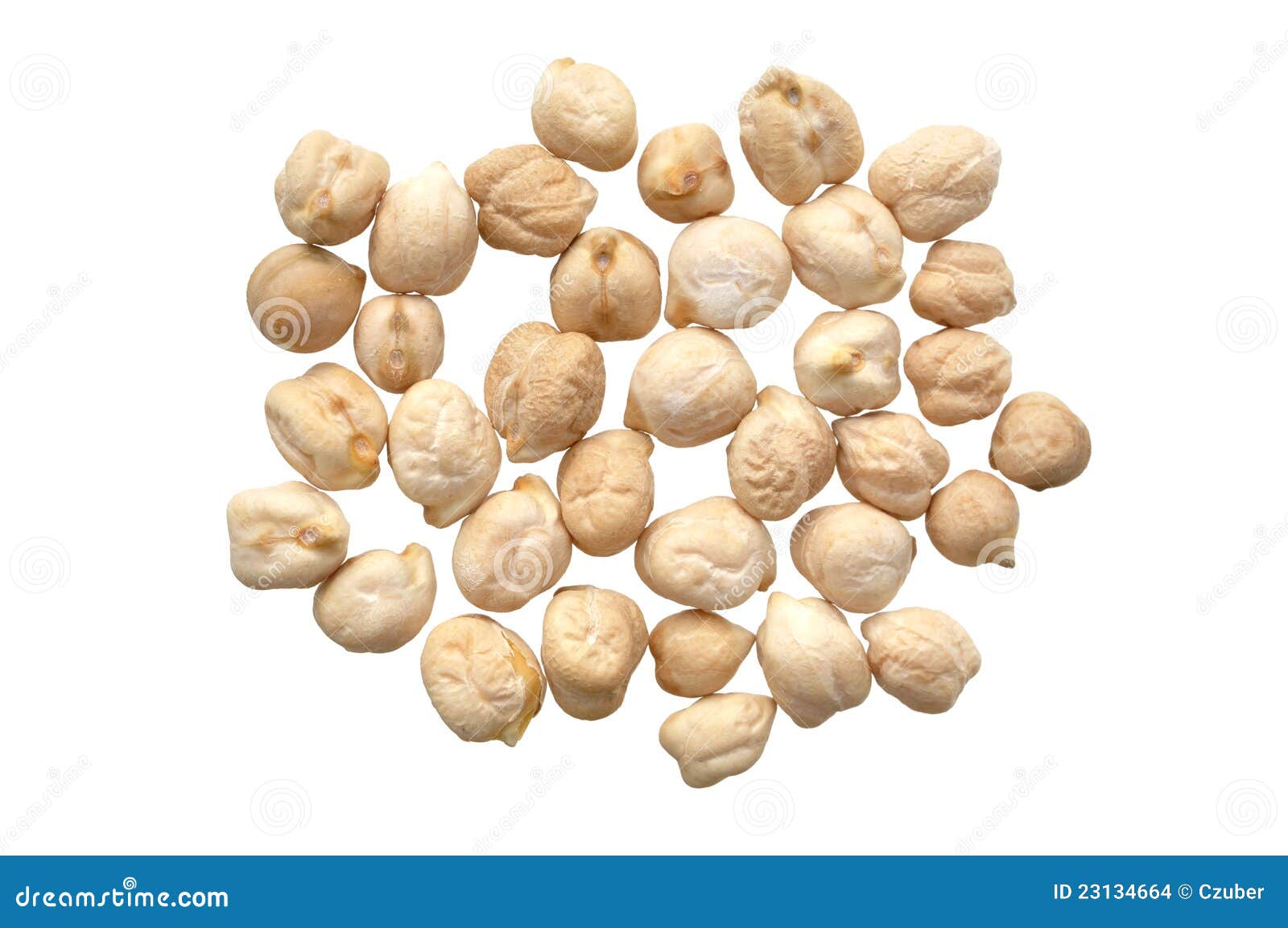 Garbanzo beans stock photo. Image of agriculture, white - 23134664