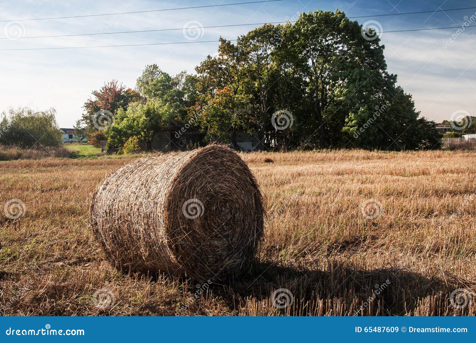 Garbe Heu stockbild. Bild von blau, öko, investition - 65487609