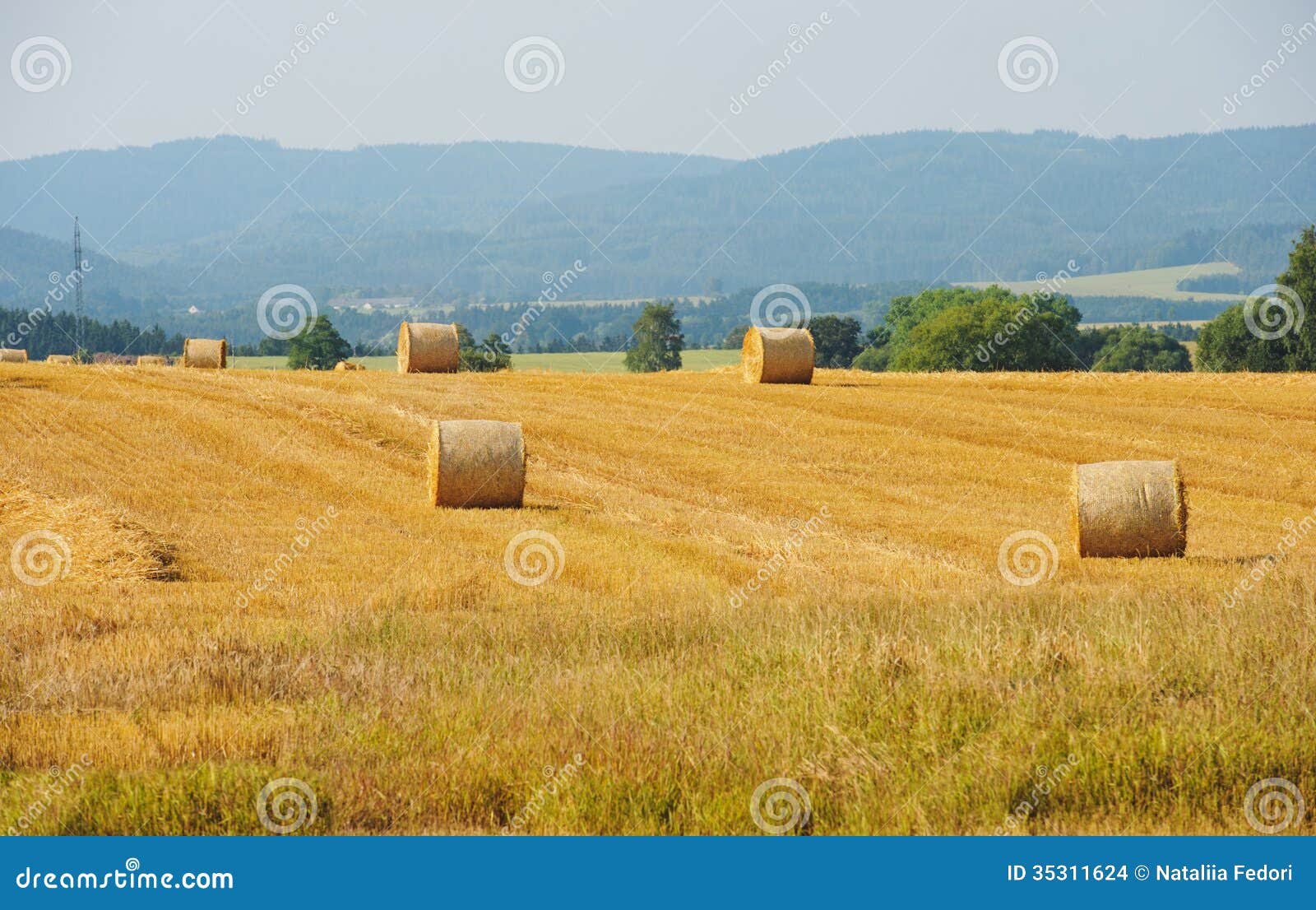 Garben auf einem Gebiet stockfoto. Bild von juli, stroh - 35311624