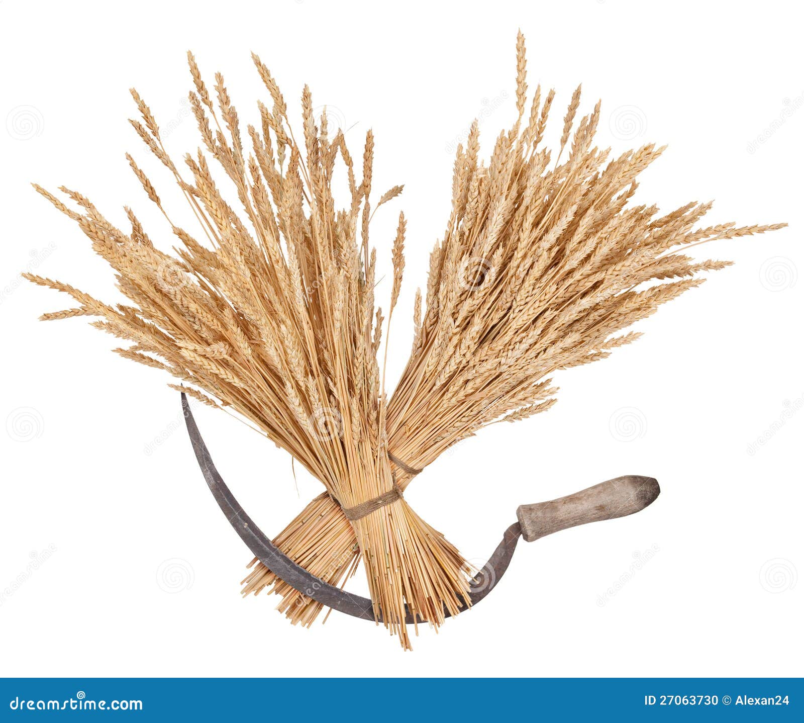 Garben Des Weizens Und Der Sichel Stockfoto - Bild von getreide ...