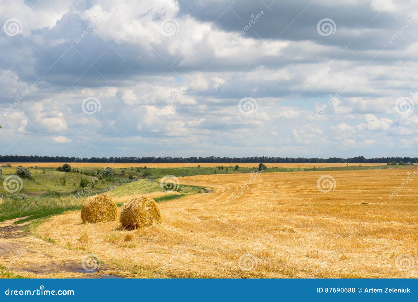 Garben Heu Auf Den Gebieten Stockfoto - Bild von rustikal ...