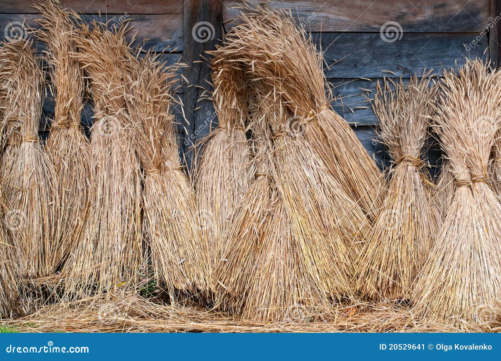 Garben Weizen stockbild. Bild von herbst, getreide, abgabe - 20529641