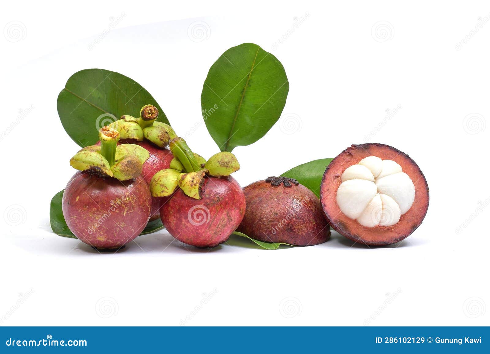 Garcinia Mangostana Isolated on White Background Stock Image - Image of ...