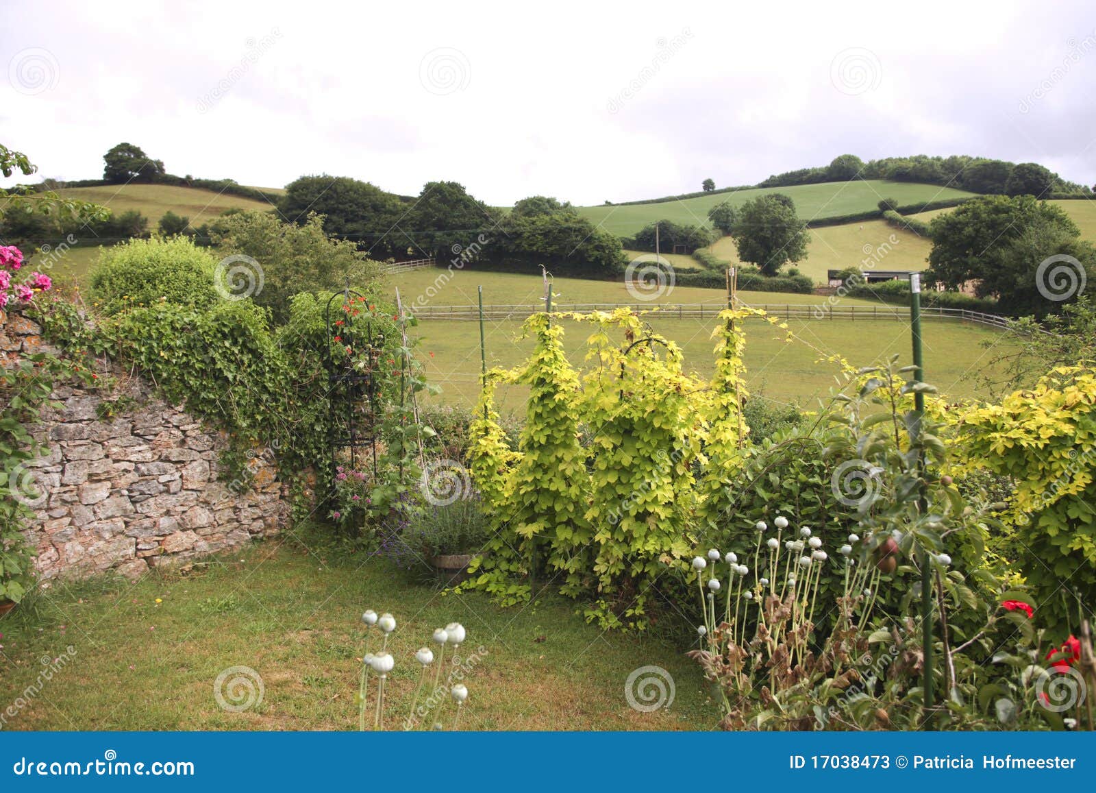 Garden stock image. Image of countryside, plant, landscape - 17038473