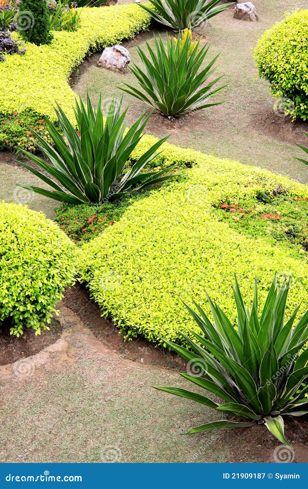 Garden stock image. Image of landscape, beautiful, creativity - 21909187