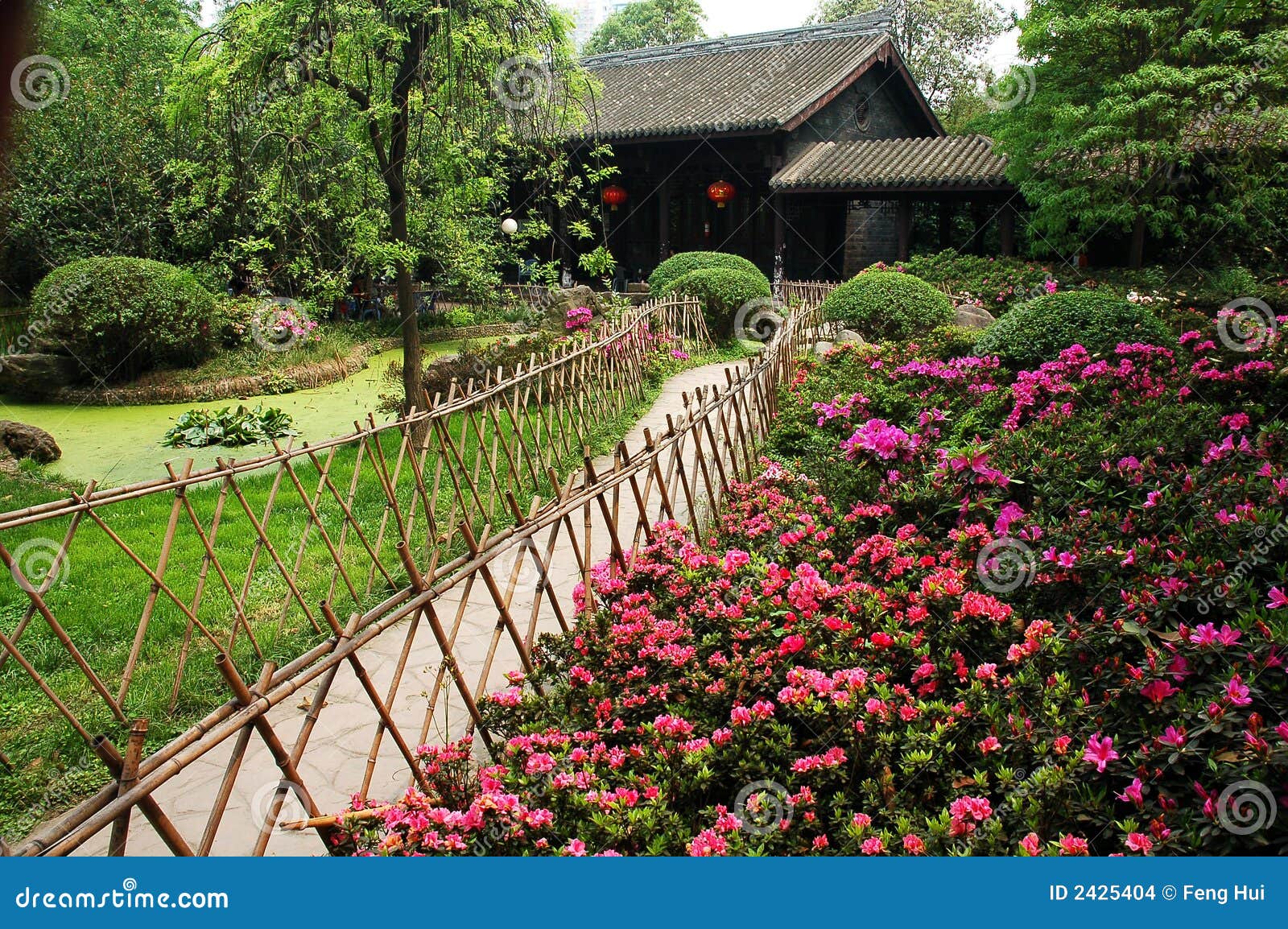 Garden stock photo. Image of sichuan, chengdu, asia, flower - 2425404