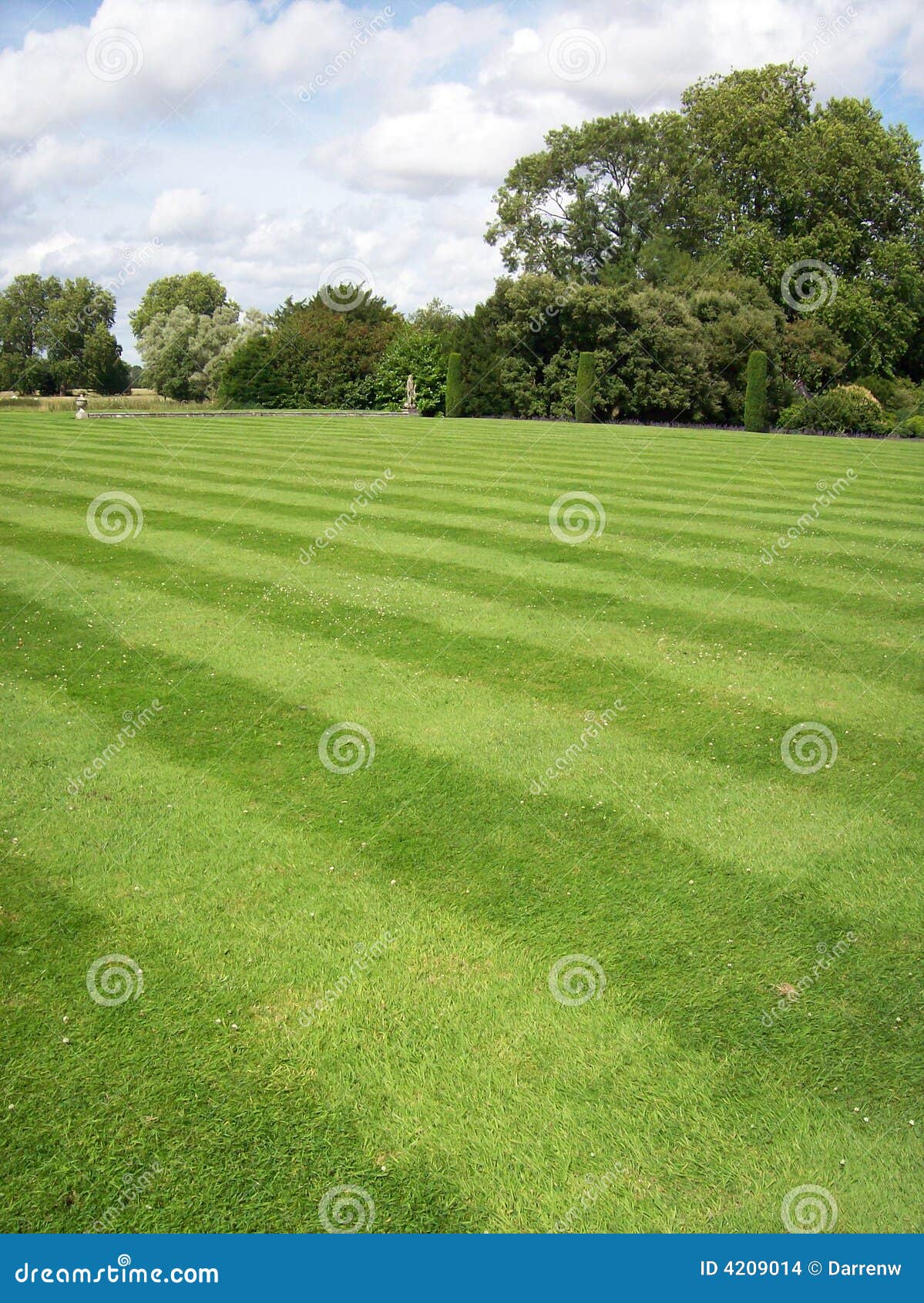 Garden stock photo. Image of immaculate, lawn, meadow - 4209014