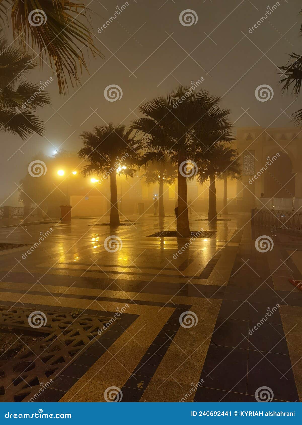 Garden in Abha Saudi Arabia Stock Image - Image of garden, palm: 240692441