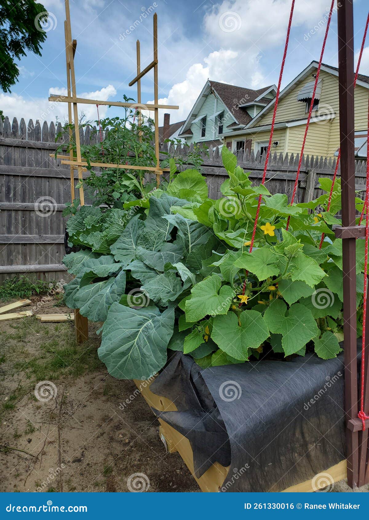 Garden above ground stock photo. Image of soil, garden - 261330016