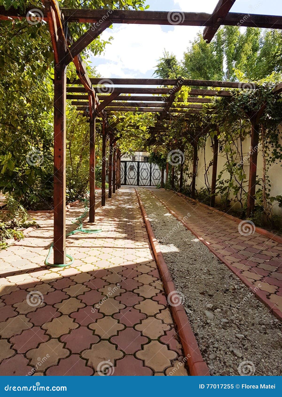 Garden alley stock image. Image of garden, alley, bucharest - 77017255