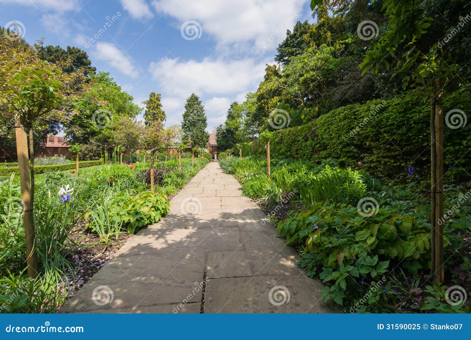 Garden alley stock image. Image of backyard, loneliness - 31590025