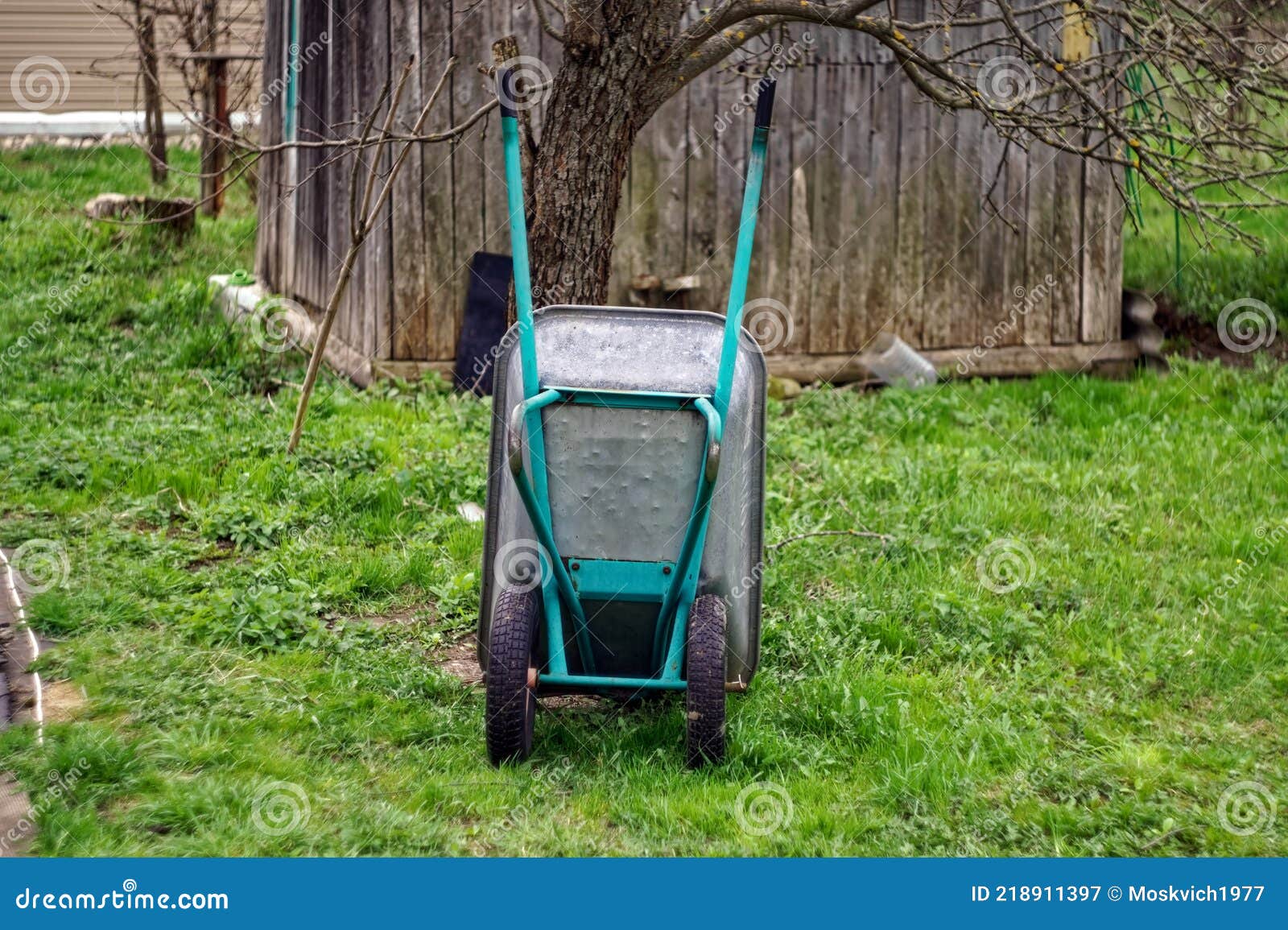 Garden Aluminum Trolley Under the Tree Stock Image - Image of leaf ...