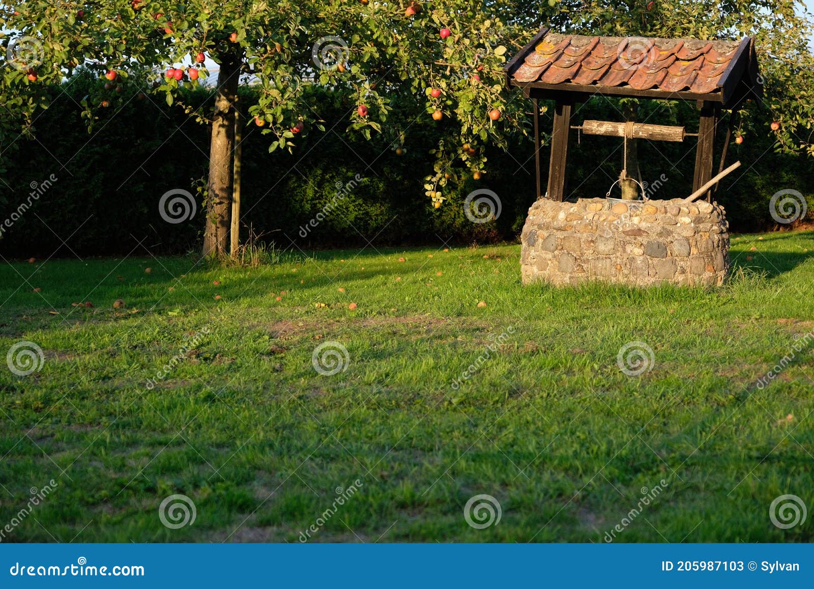 Garden with Apple Tree and a Water Well Stock Image - Image of ancient ...
