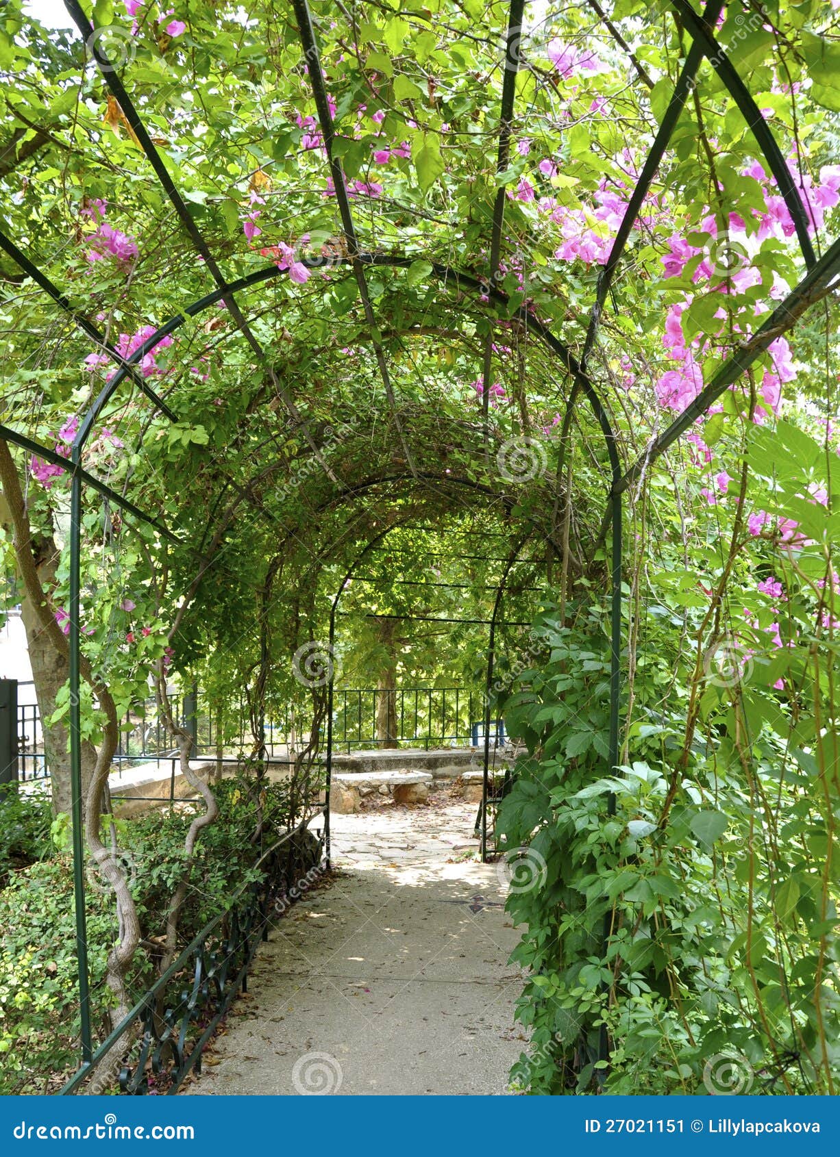 Garden Arbor stock image. Image of spring, greenery, perennials - 27021151