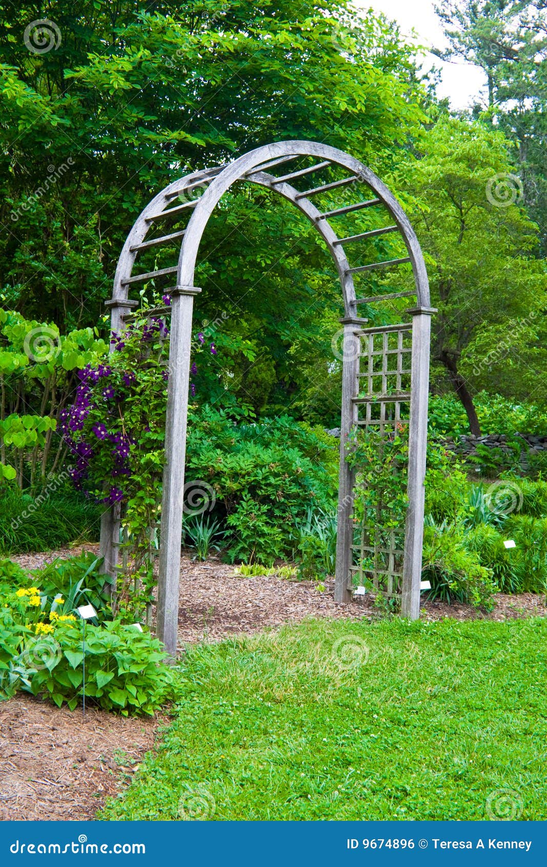 Garden Arbor stock photo. Image of plant, bushes, perennial - 9674896