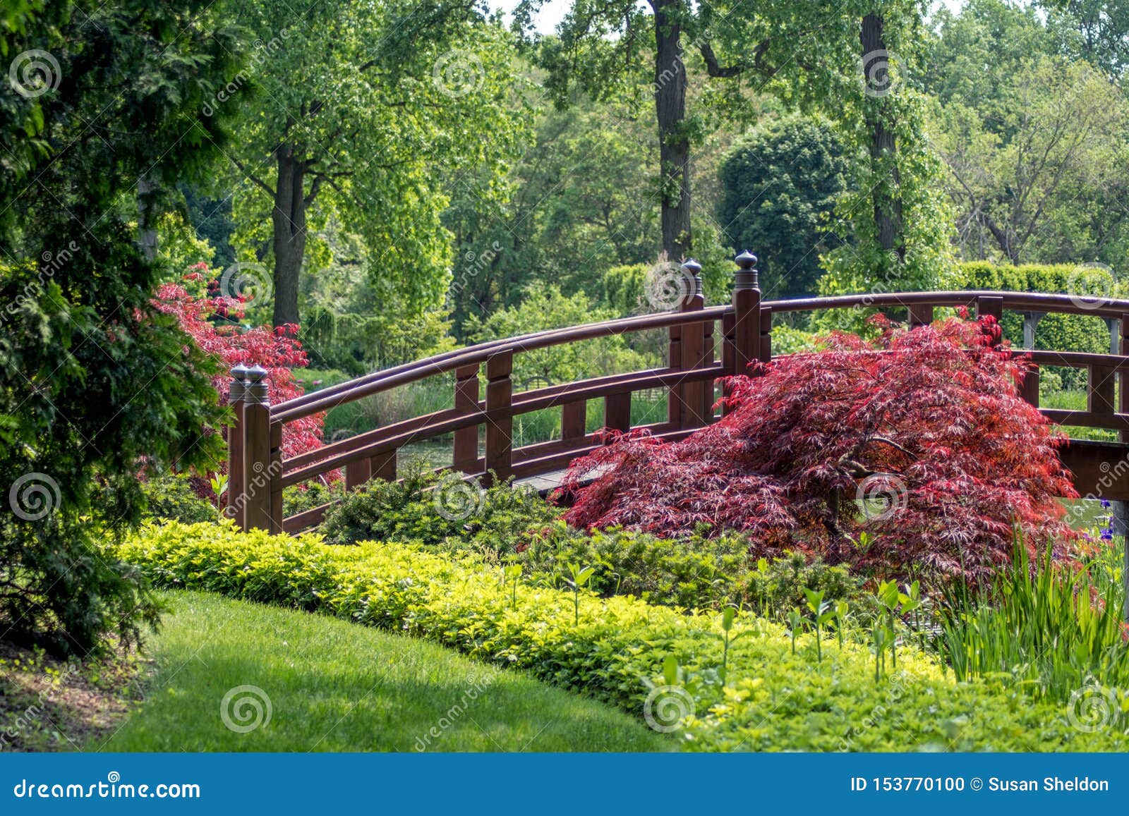 Garden Witha Beautiful Arched Bridge Stock Photo - Image of foliage ...