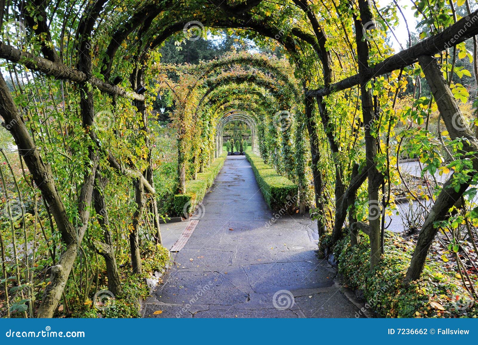 Garden arches and path stock photo. Image of canadian - 7236662