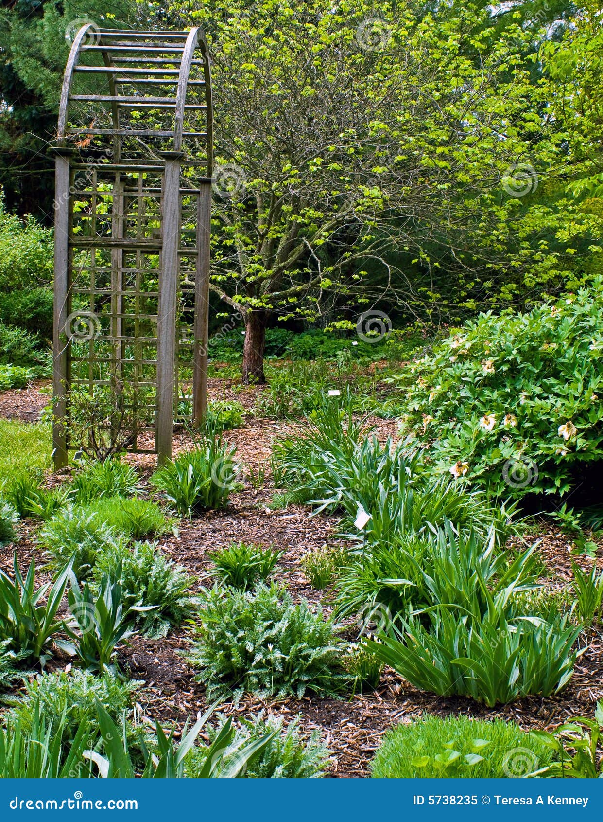 Garden Archway Stock Photos - Download 4,096 Royalty Free Photos