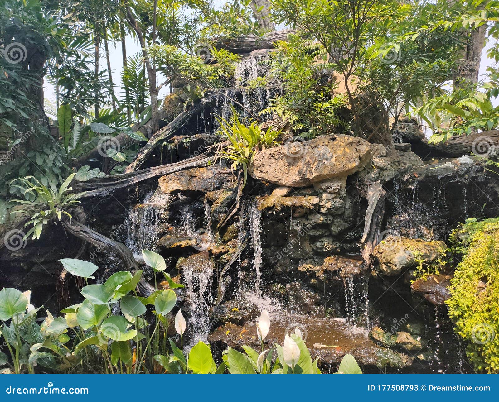 The Garden Arrangement by Creating an Artificial Waterfall. Helps To ...