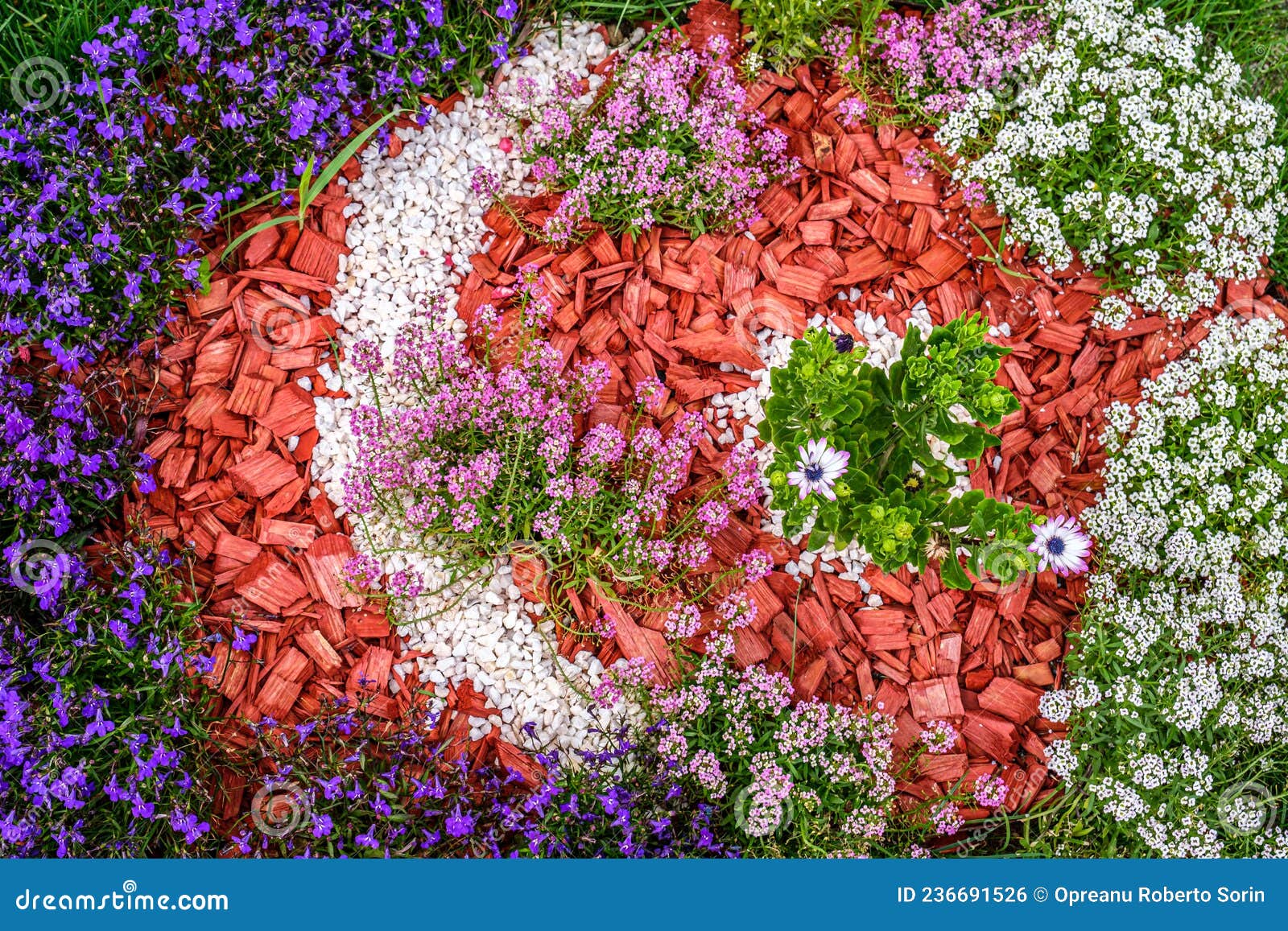 Garden Arrangement with Various Flowers Stock Photo - Image of logs ...