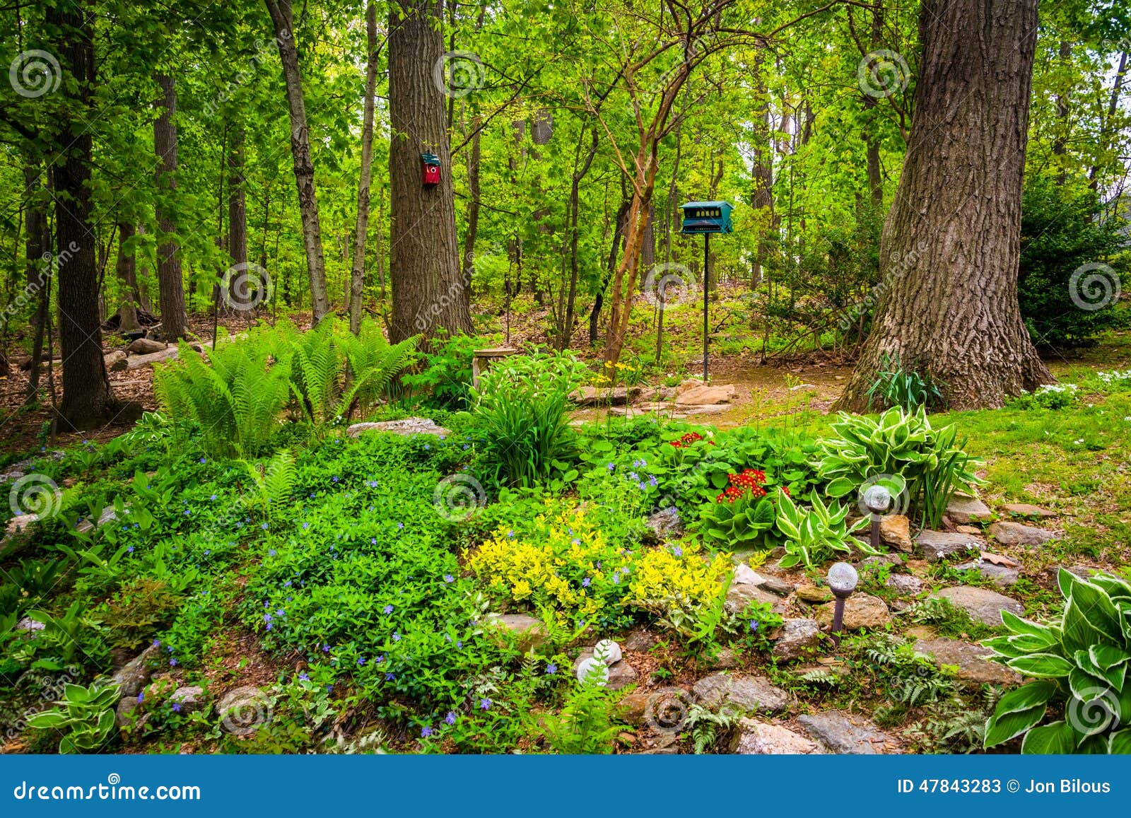 Backyard Rural Barn House Bird Feeder Birds Seed Back Yard Birdhouse ...