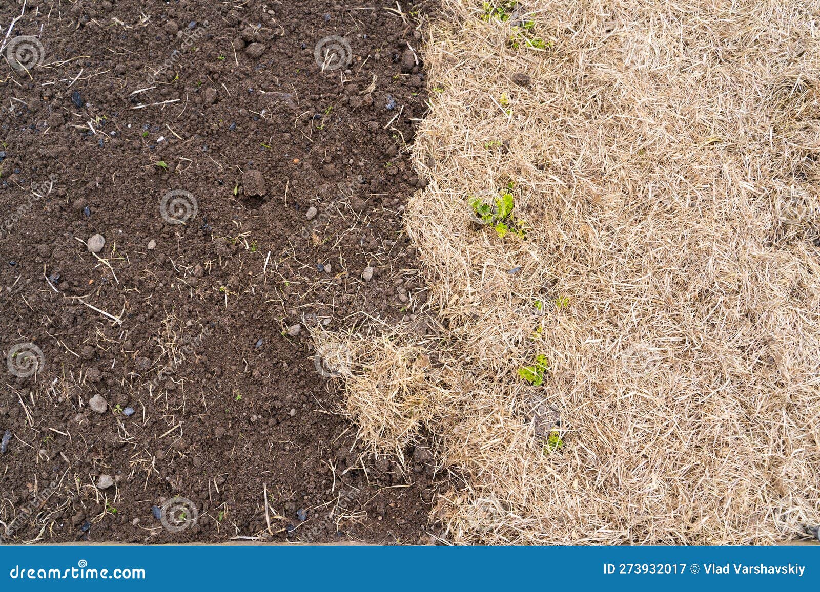 Garden Bed before and after Mulching with Dry Grass, Top View Stock ...