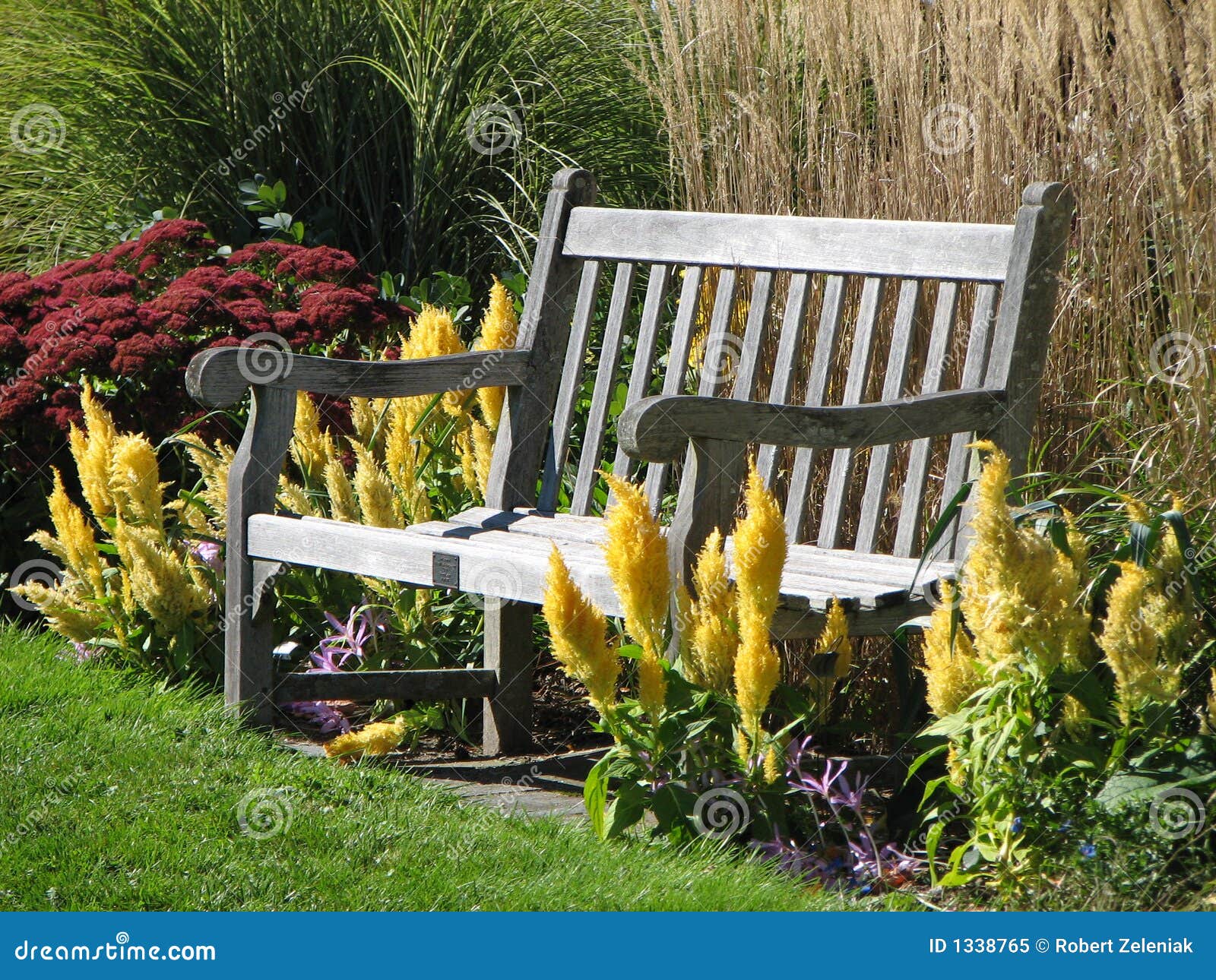 Garden_bench stock image. Image of outdoor, bench, wooden - 1338765