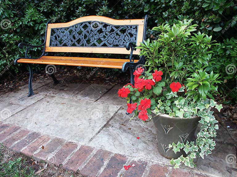 Garden Bench stock photo. Image of seculded, shrubs, hedge - 186374