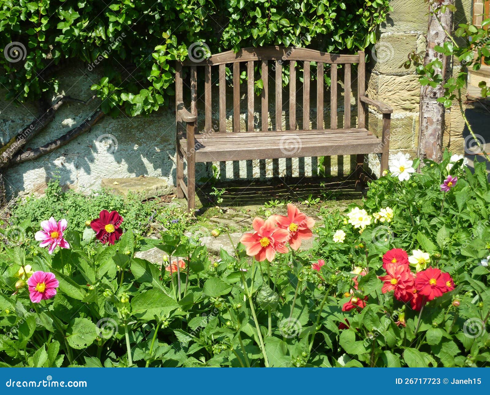 Garden bench stock image. Image of backyard, lifestyle - 26717723