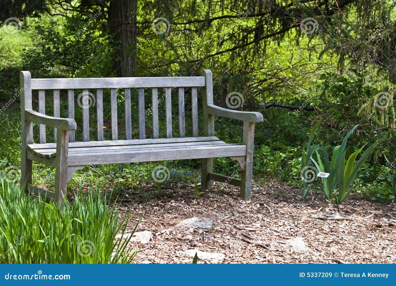 Garden Bench stock image. Image of private, bench, retreat - 5337209