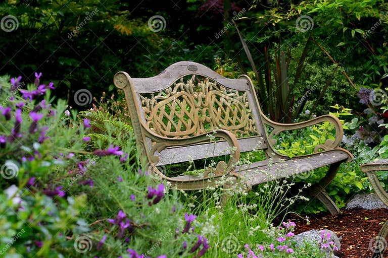 Garden bench stock image. Image of residential, bench, shrubs - 812835
