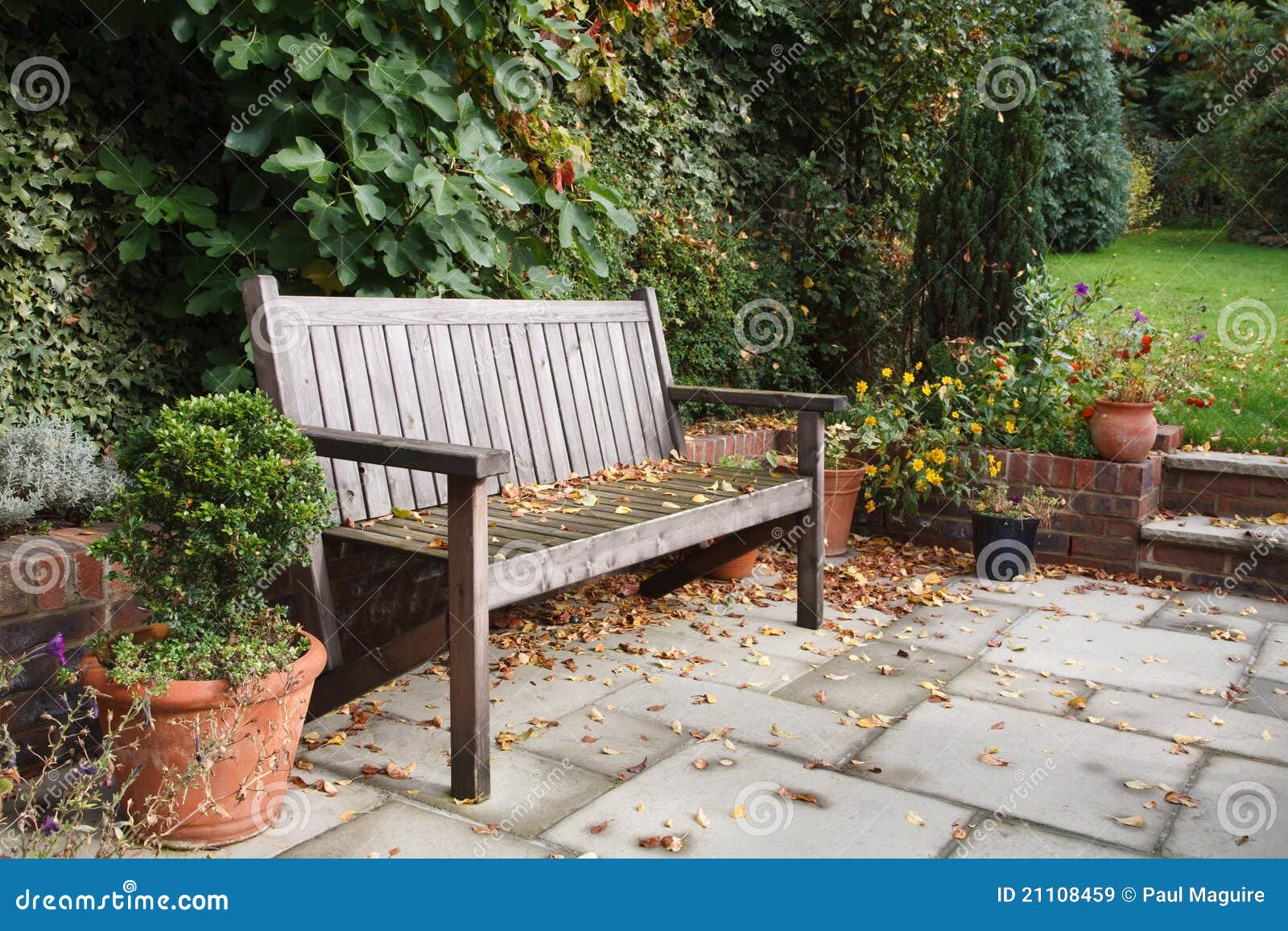 Garden bench in fall stock image. Image of english, backyard - 21108459