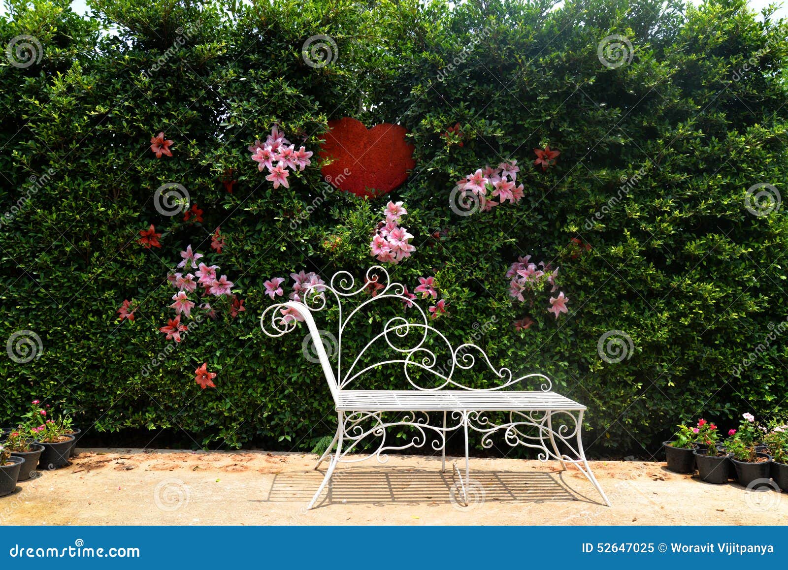 Garden bench stock image. Image of peaceful, garden, shrubs - 52647025