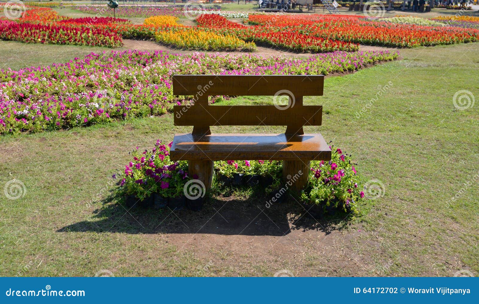 Garden Bench stock photo. Image of backdrop, grown, flower - 64172702