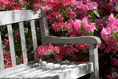Garden bench and flowers stock photo. Image of blossoming - 2318046