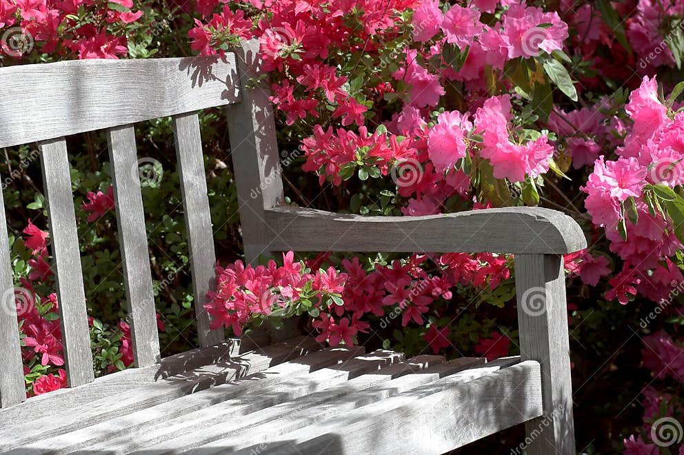 Garden bench and flowers stock photo. Image of blossoming - 2318046