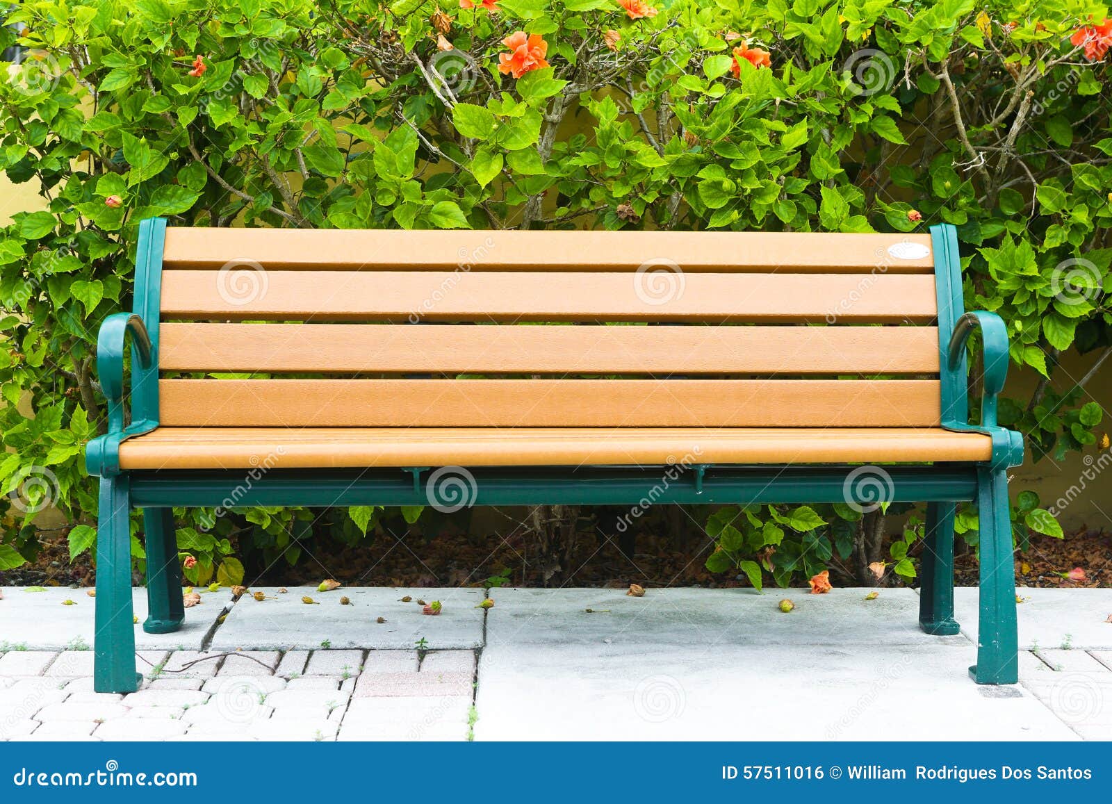 Garden Bench stock photo. Image of bench, plant, wood - 57511016