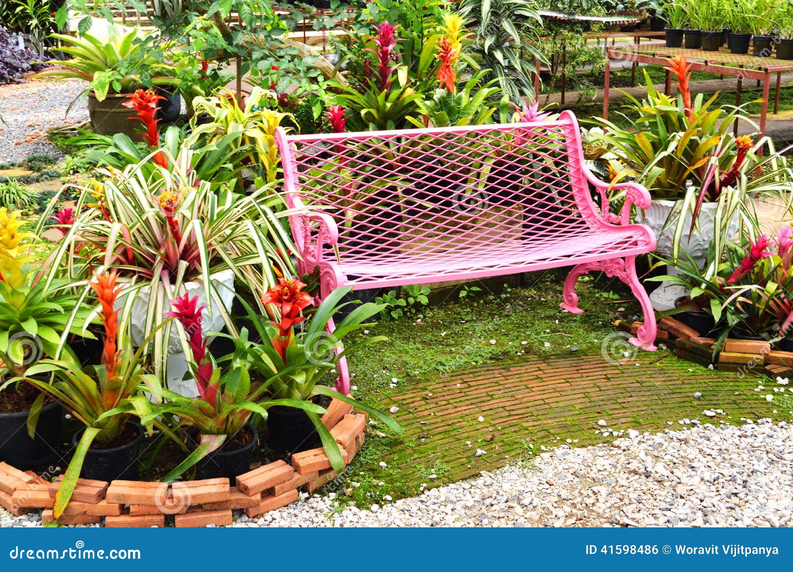 Garden bench stock photo. Image of lush, home, flower - 41598486