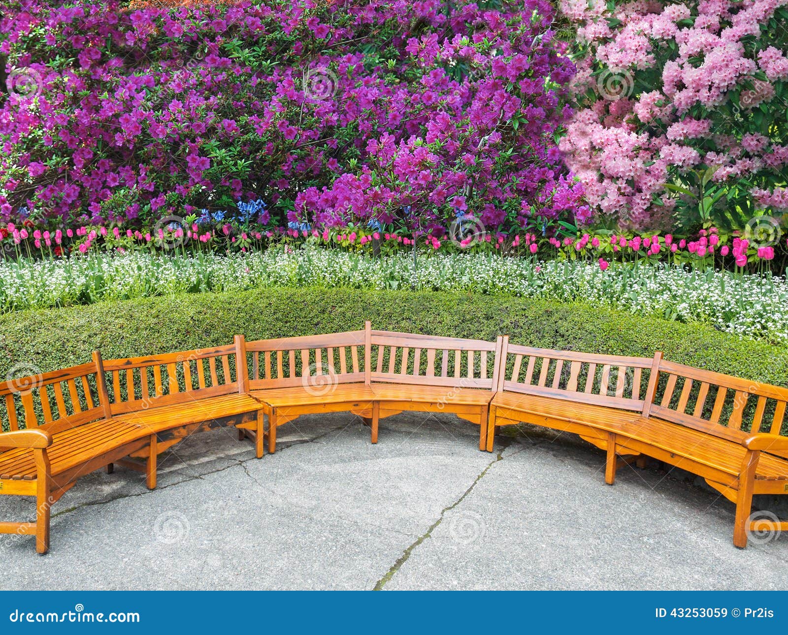 Garden bench stock image. Image of landscaping, tulips - 43253059