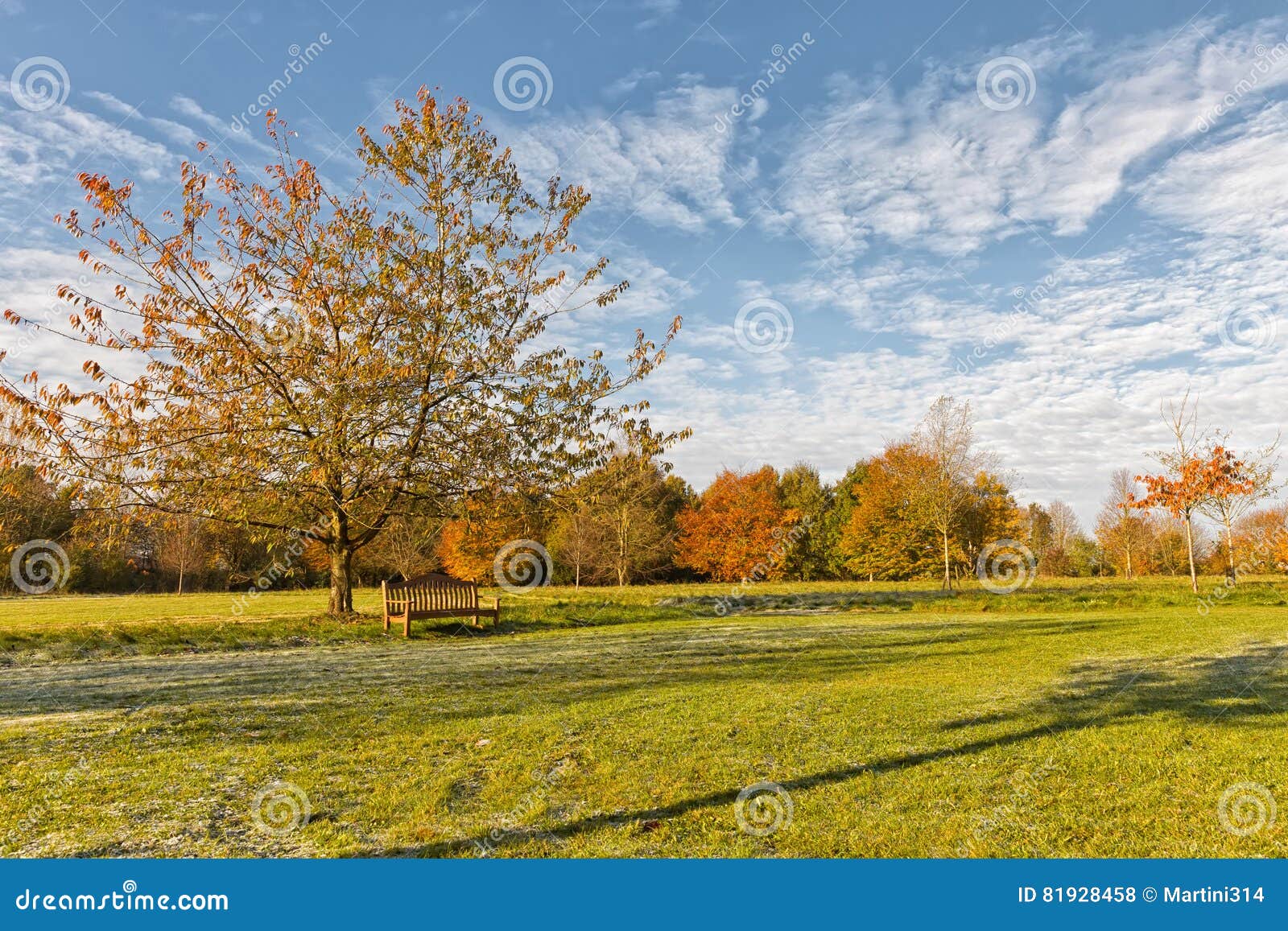 Garden Bench Under a Tree, in Autumn Park Landscape Stock Photo - Image ...