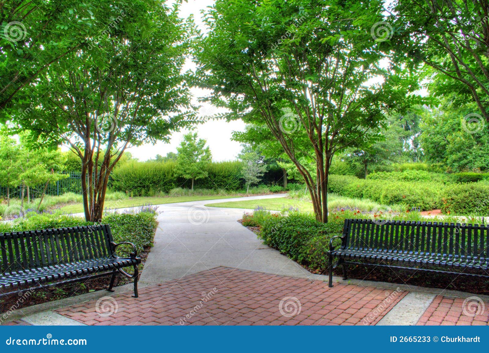 Garden Benches stock image. Image of summer, bench, park - 2665233