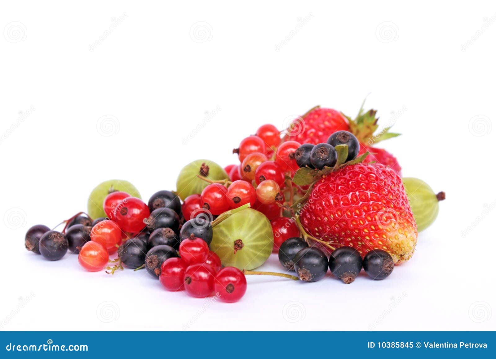 Garden berries stock image. Image of juicy, berries, fresh - 10385845