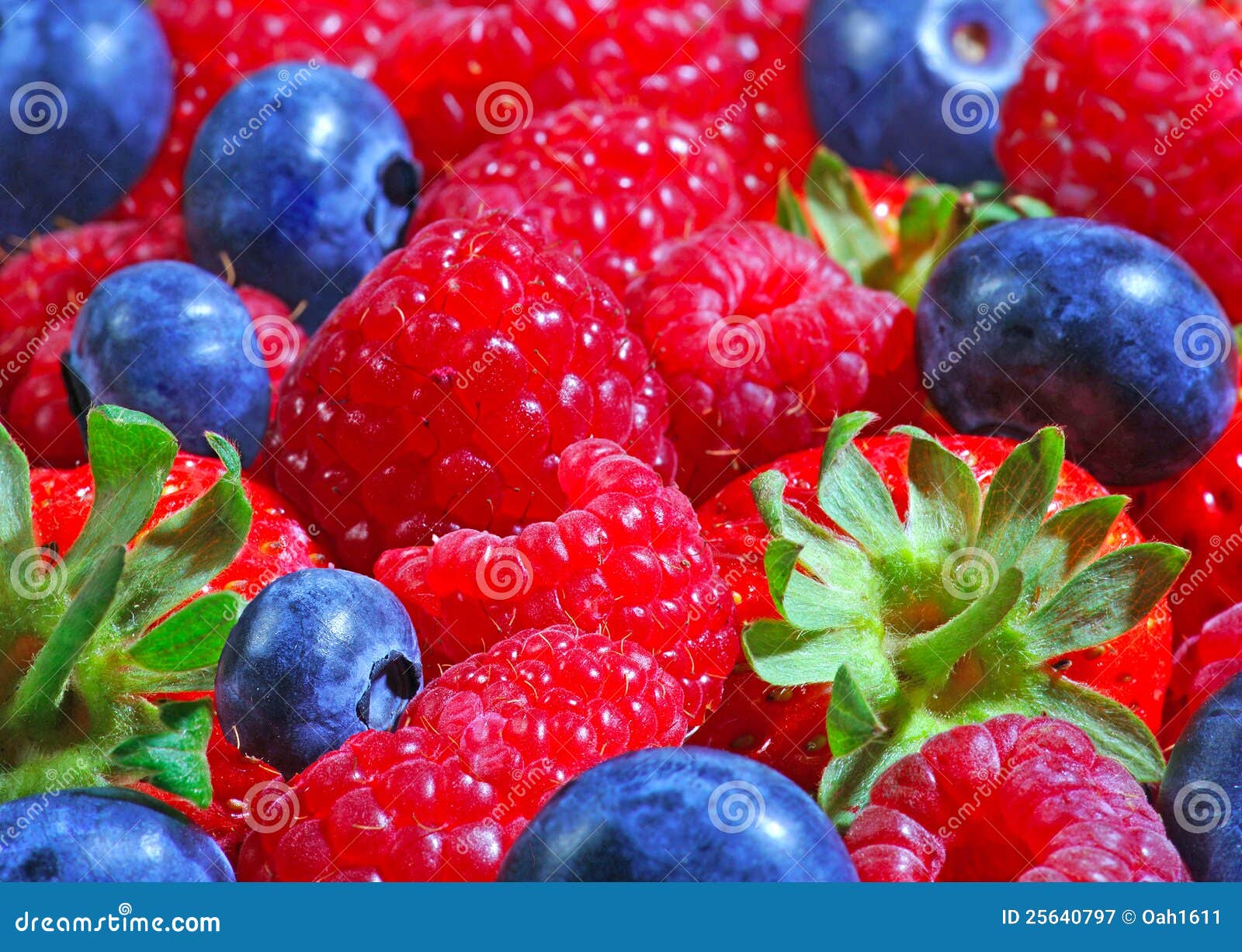 Garden berries stock image. Image of closeup, antioxidants - 25640797